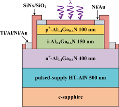 All AlGaN epitaxial structure solar-blind avalanche photodiodes with high efficiency and high ...