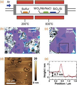 Growth and optical properties of Nb-doped WS2 monolayers - IOPscience