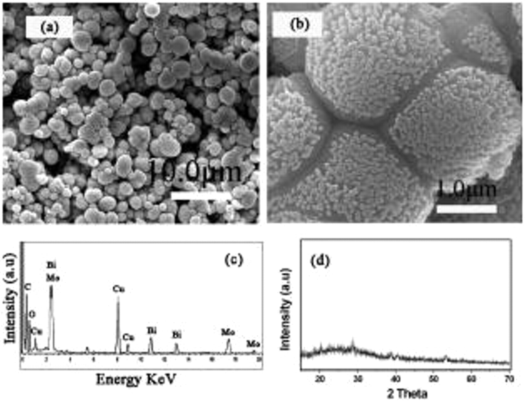 Synthesis of Bismuth Molybdate Nanowires via Electrodeposition–Heat ...