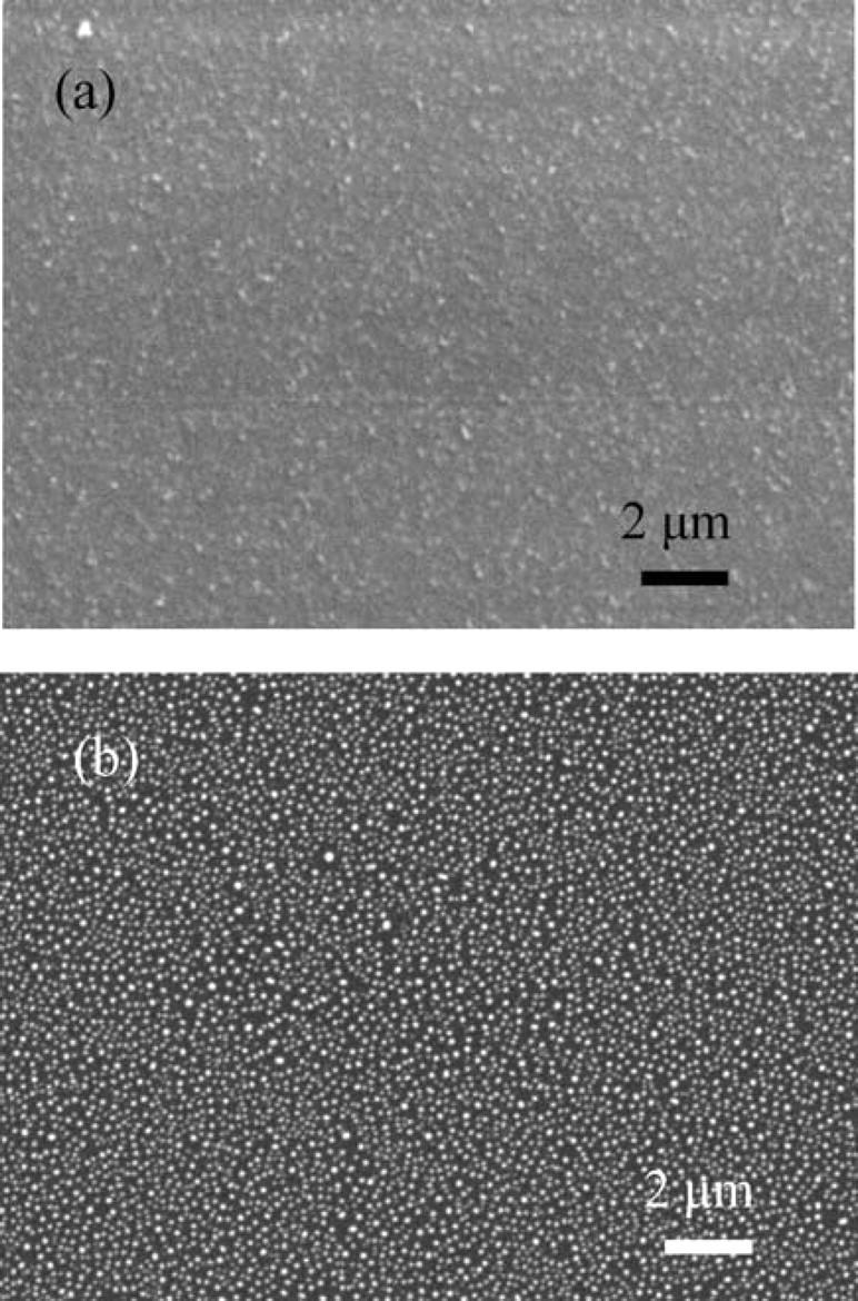 ZnO NW's Grown by Zn[TMHD]2 Precursor - IOPscience