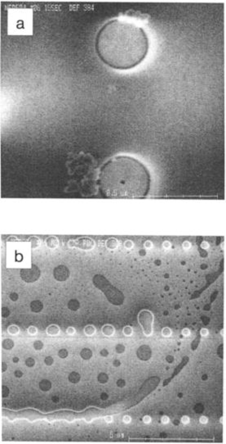 Formation of Tungsten Oxide Defects during Tungsten CMP - IOPscience