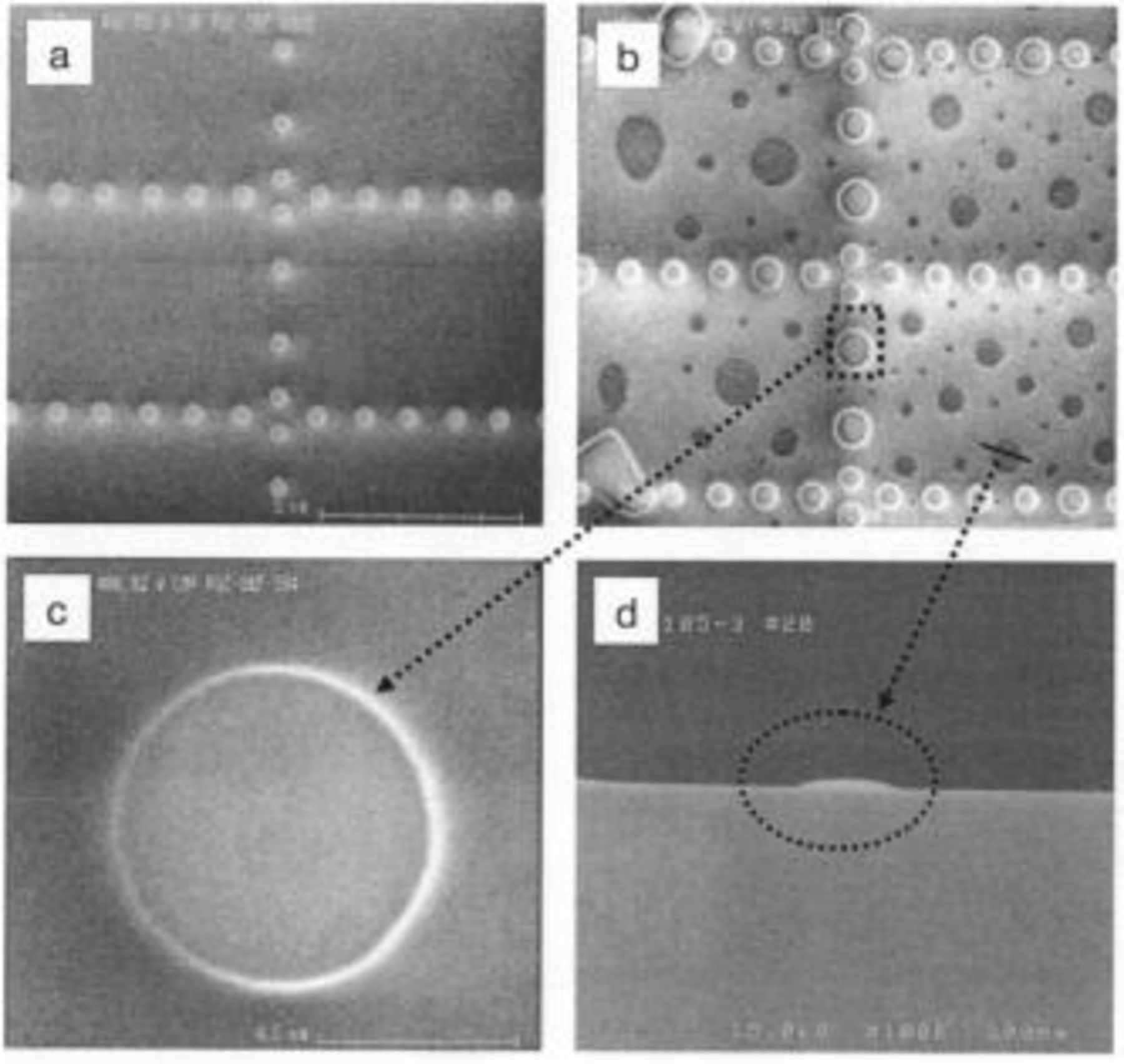 Formation of Tungsten Oxide Defects during Tungsten CMP - IOPscience