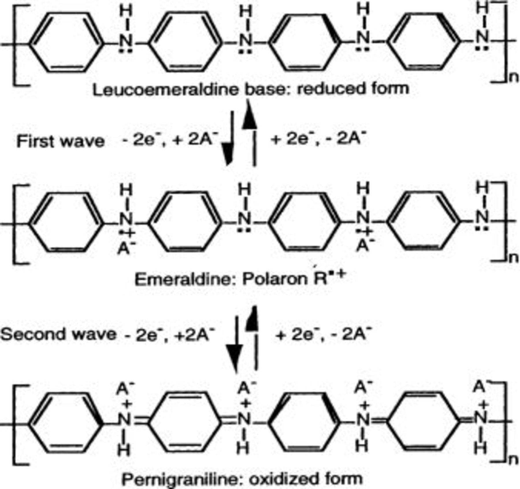Electrochemical Characterization of Polyaniline in Nonaqueous ...