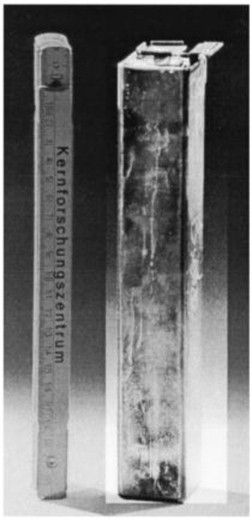 Investigation of the Inner Structures of ZEBRA Cells with a ...