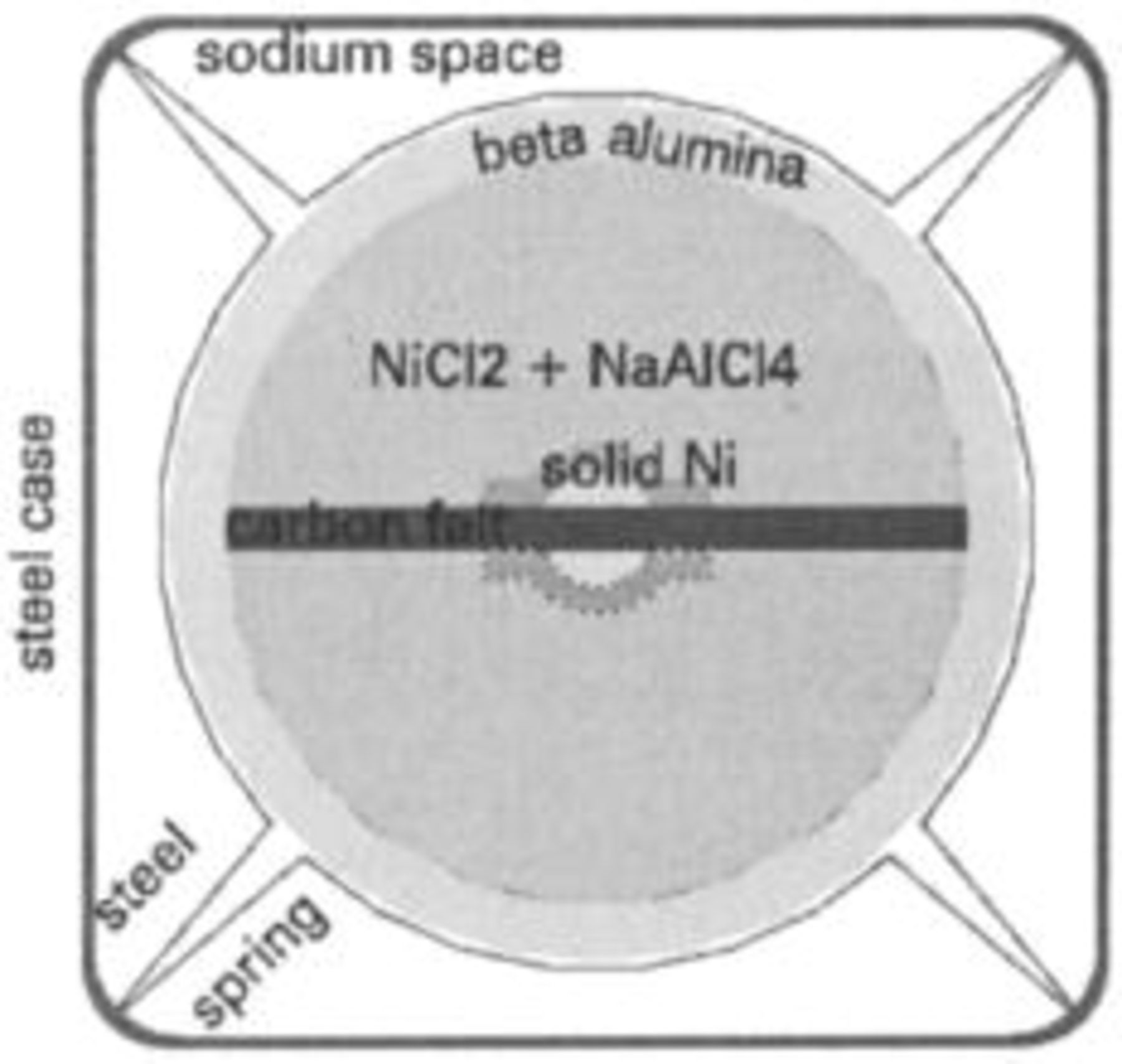 Investigation of the Inner Structures of ZEBRA Cells with a ...