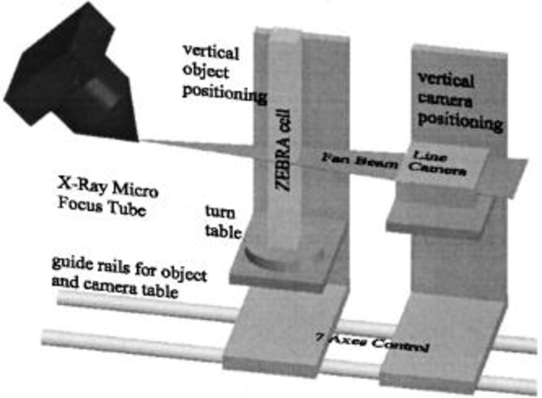Investigation of the Inner Structures of ZEBRA Cells with a ...
