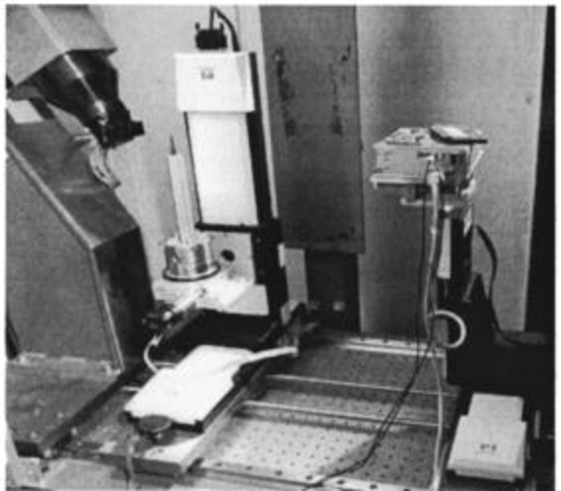 Investigation of the Inner Structures of ZEBRA Cells with a ...