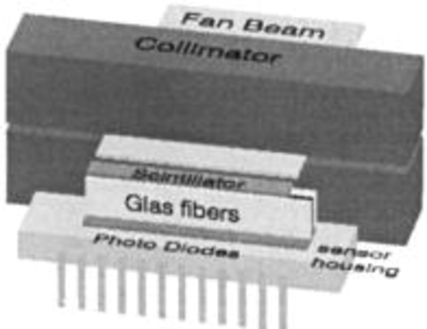 Investigation of the Inner Structures of ZEBRA Cells with a ...