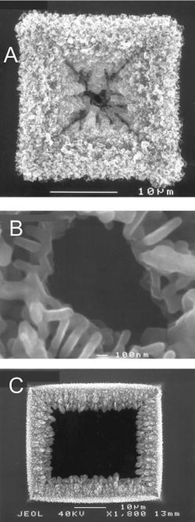 Microelectroplating Silver on Sharp Edges toward the Fabrication of ...