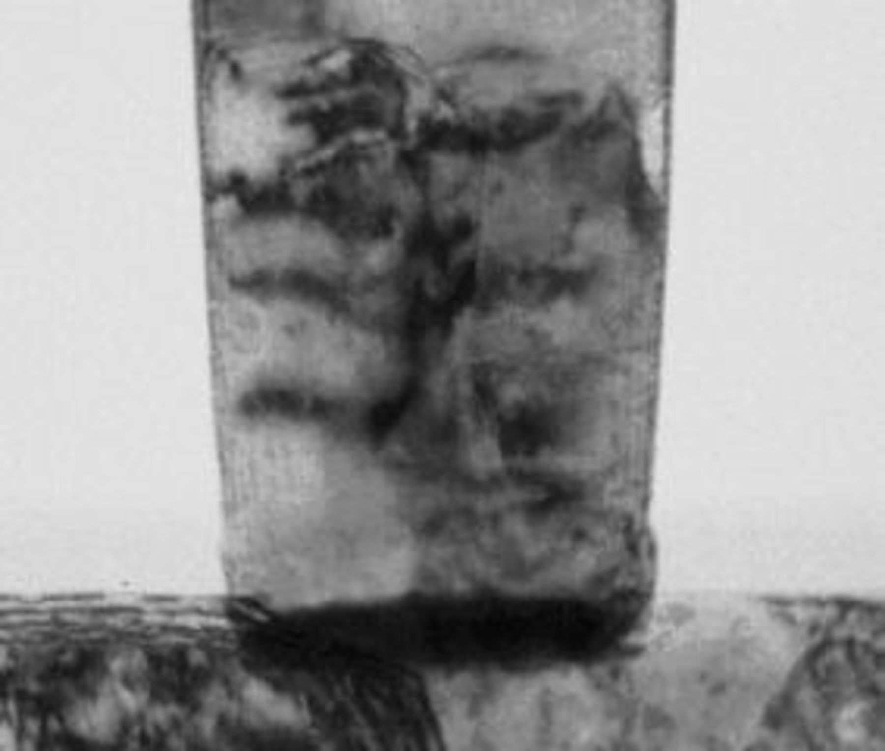 Stress Migration and Electromigration Improvement for Copper Dual ...