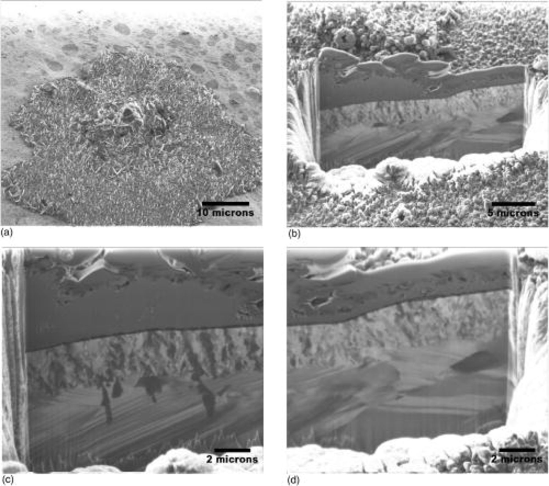 Corrosion Resistance of Copper-Coated Contacts - IOPscience