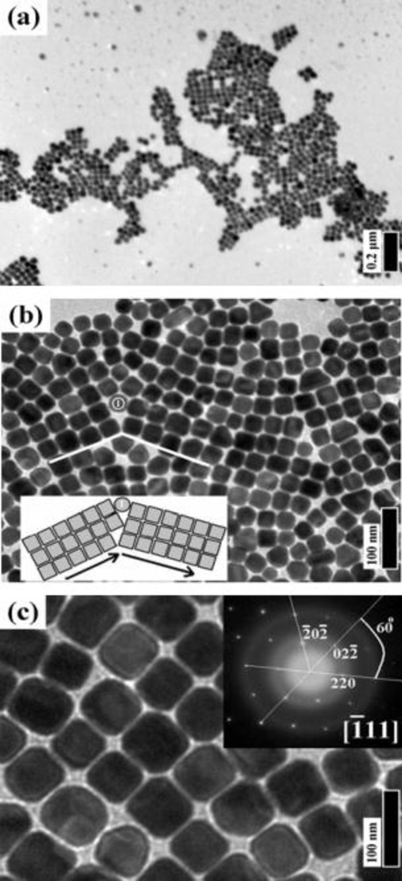 Synthesis of the Gold Nanocubes by Electrochemical Technique - IOPscience