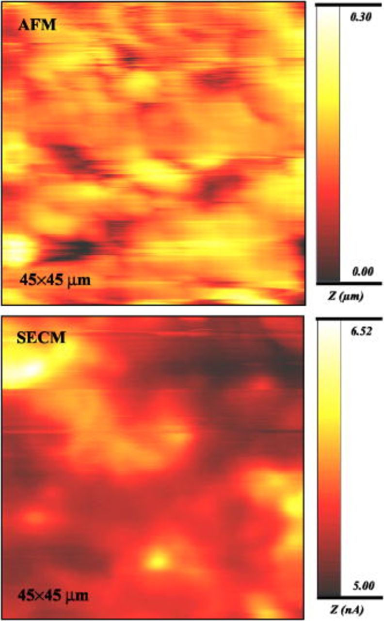 Multianalytical and In Situ Studies of Localized Corrosion of EN AW ...