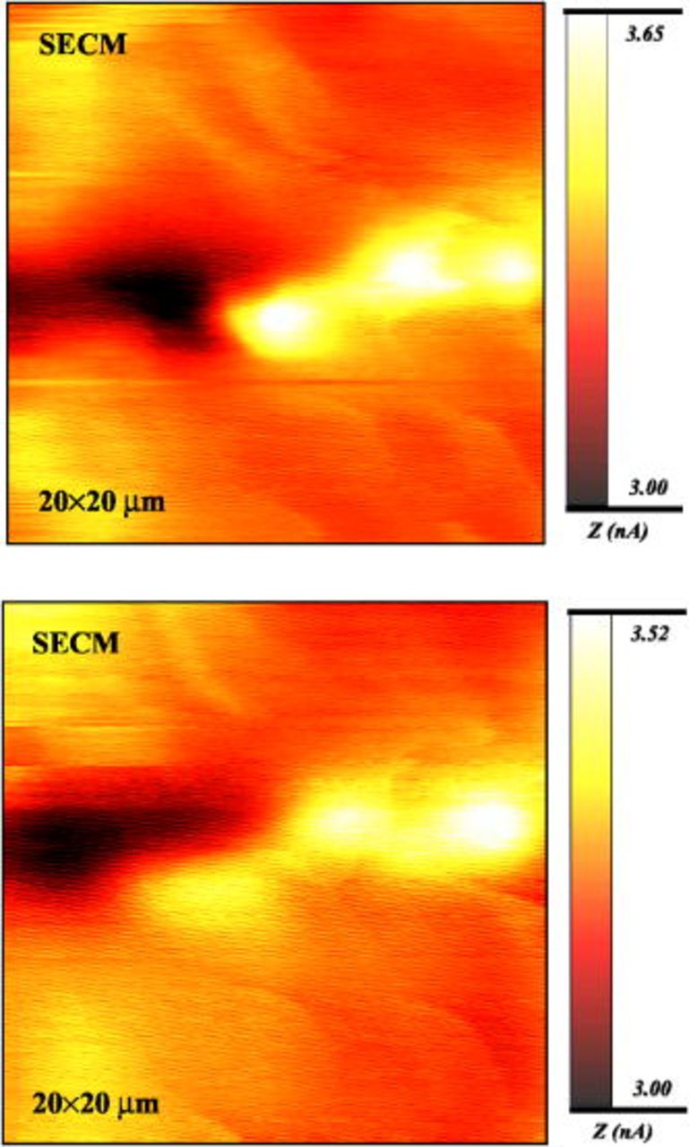 Multianalytical and In Situ Studies of Localized Corrosion of EN AW ...