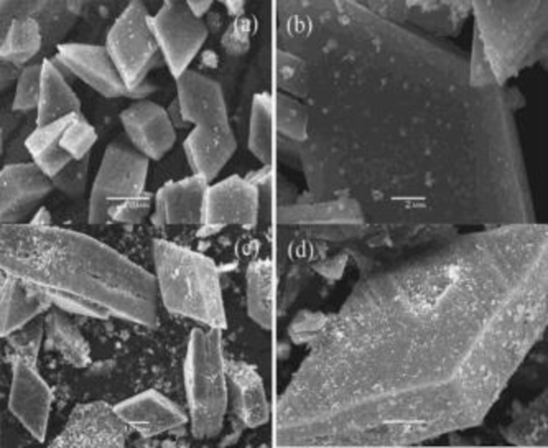 Effect of Surface Modification with In ( OH ) 3 on Electrochemical ...
