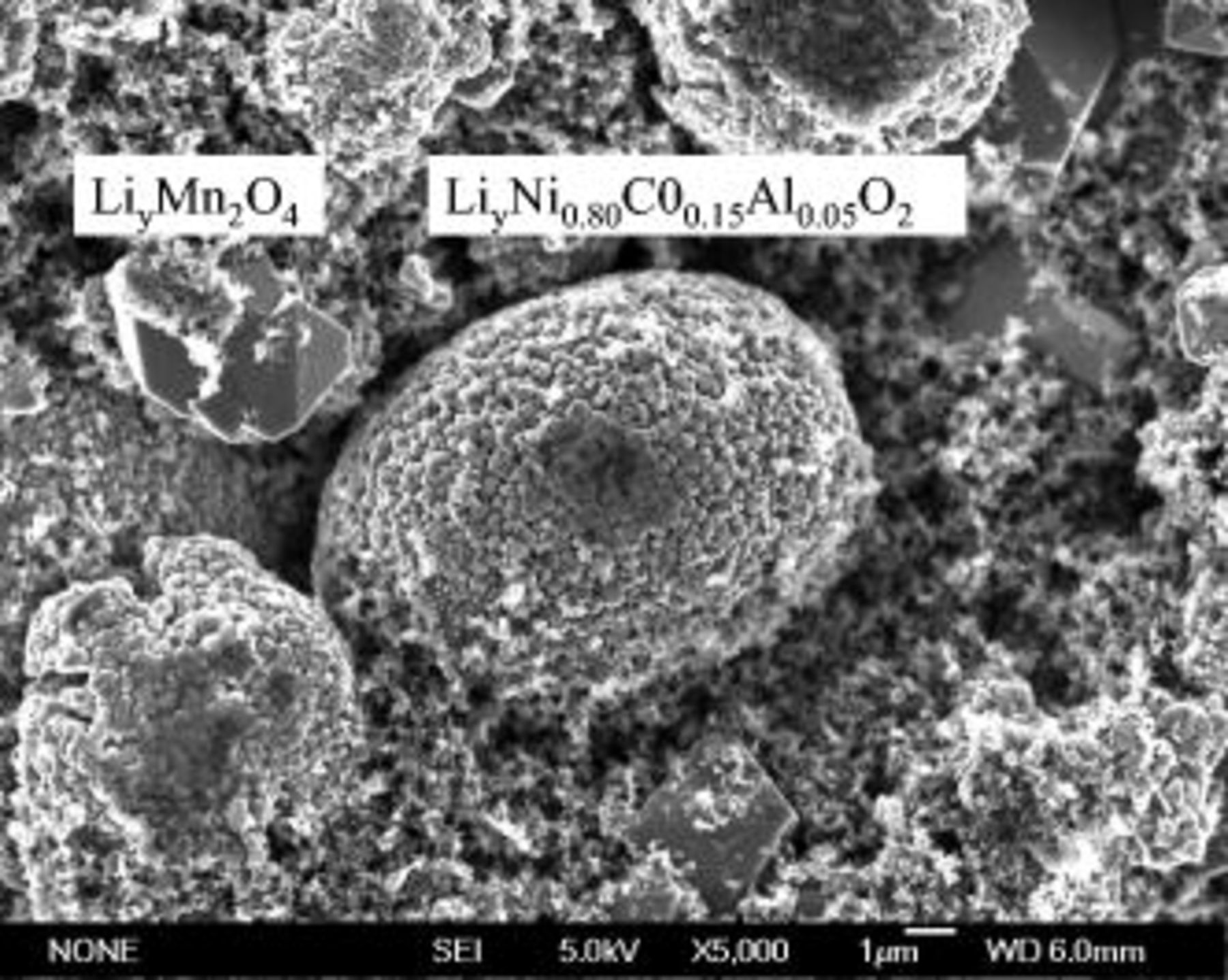 Experiments on and Modeling of Positive Electrodes with Multiple Active ...