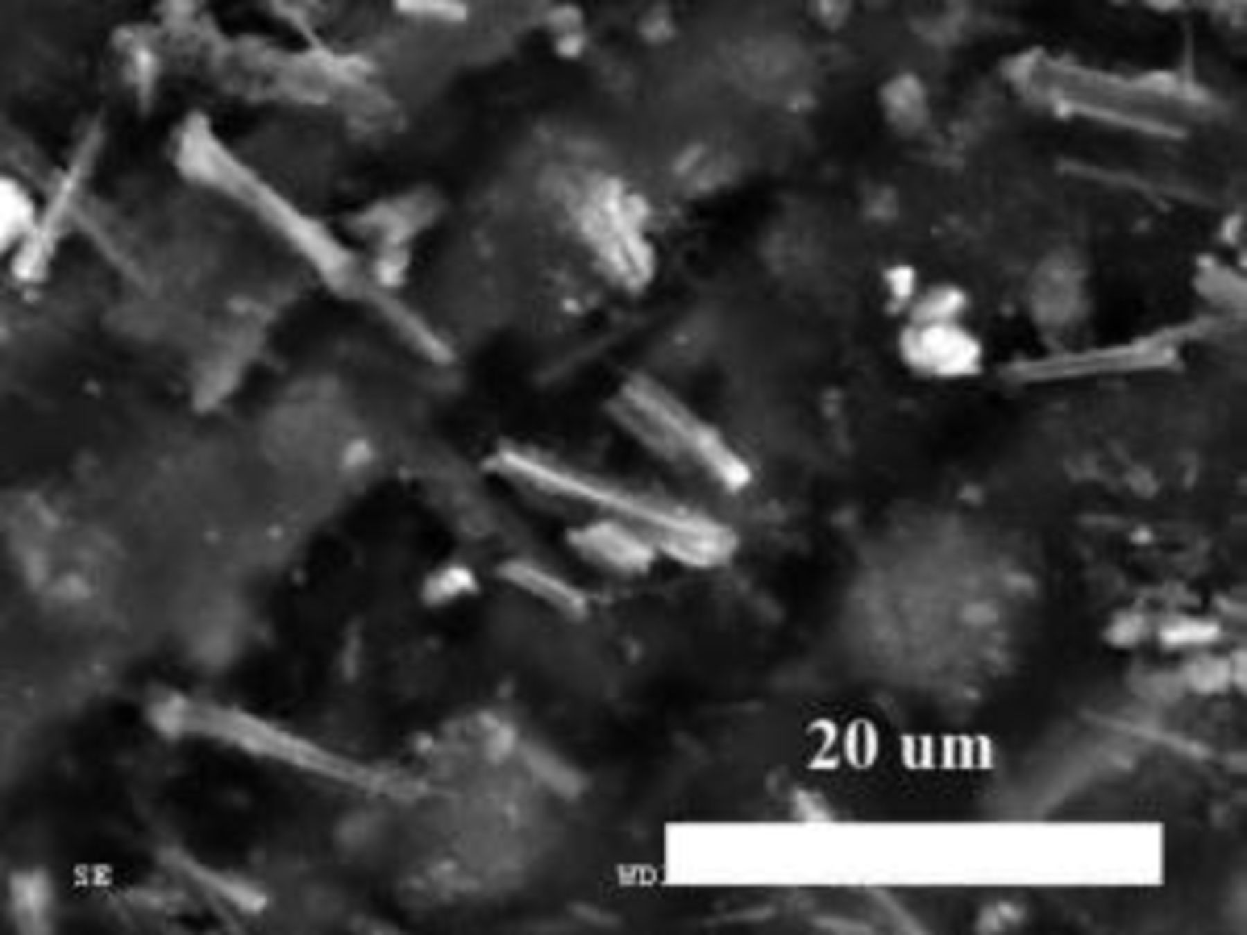 Composite Silicon Nanowire Anodes for Secondary Lithium-Ion Cells ...