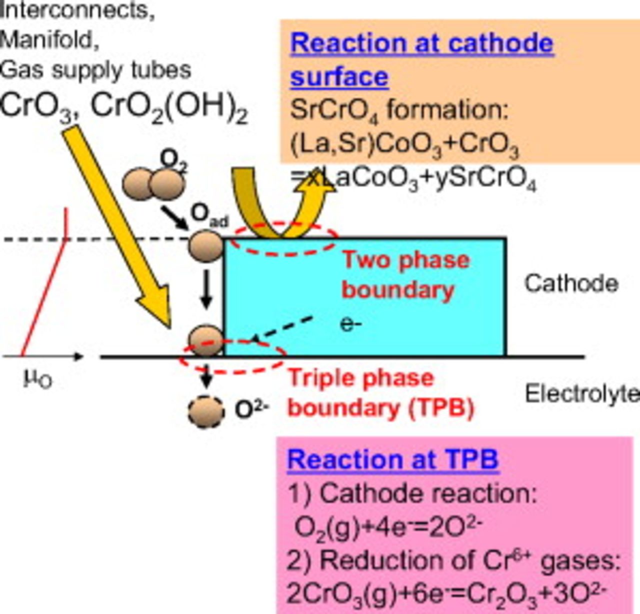 Chromium Poisoning and Degradation at ( La , Sr ) MnO3 and ( La , Sr ...