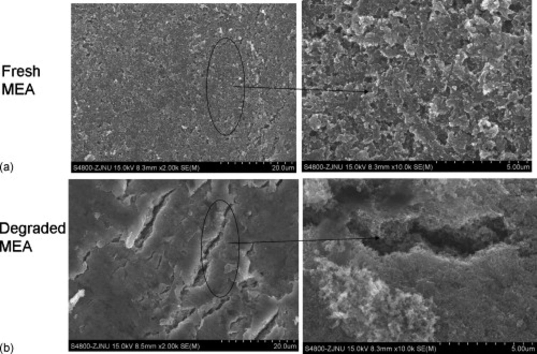 Investigation of Membrane Pinhole Effects in Polymer Electrolyte Fuel ...