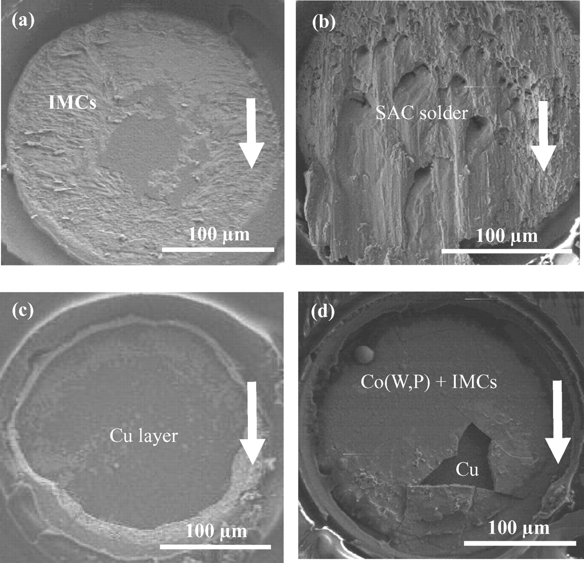 Diffusion Barrier Characteristics of Electroless Co(W,P) Thin Films to ...