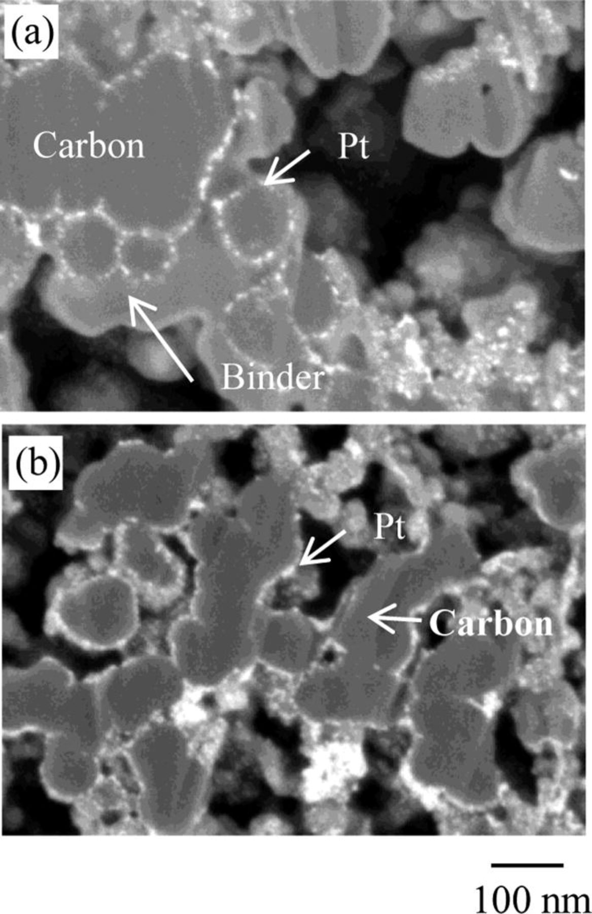 Microstructure of Platinum-Carbon Agglomerates with Hydrocarbon-Based ...