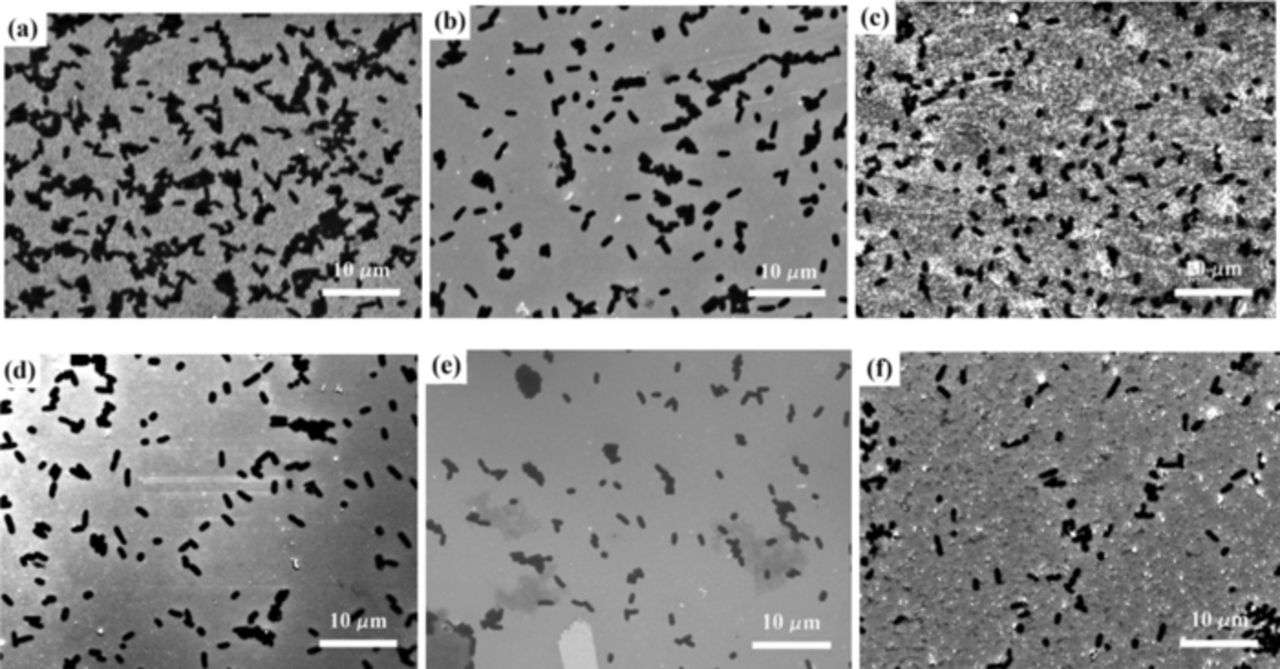 Blocking Agent Optimization for Nonspecific Binding on Phage Based ...