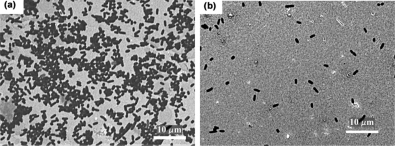 Blocking Agent Optimization for Nonspecific Binding on Phage Based ...