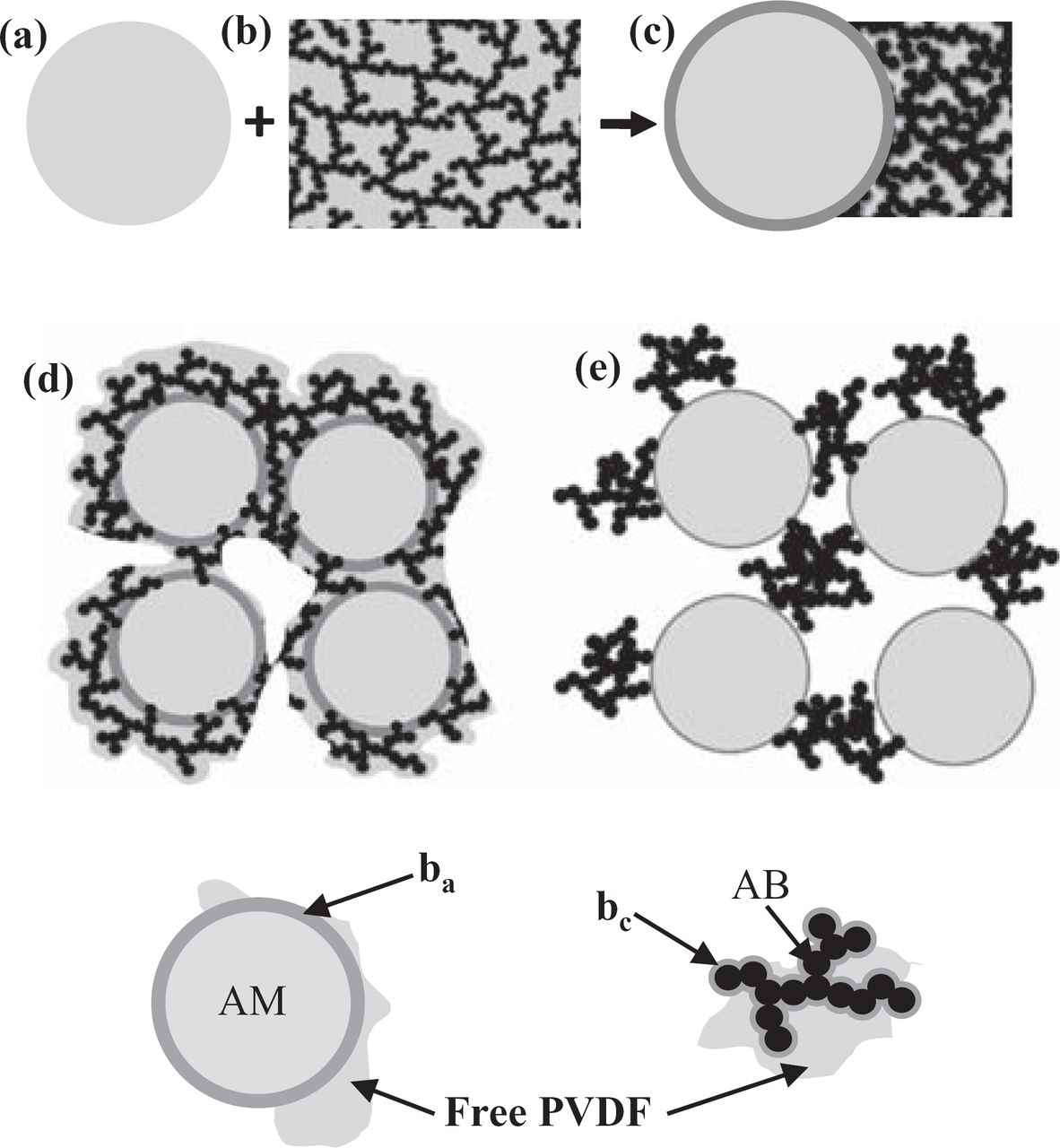 Particles and Polymer Binder Interaction: A Controlling Factor in ...