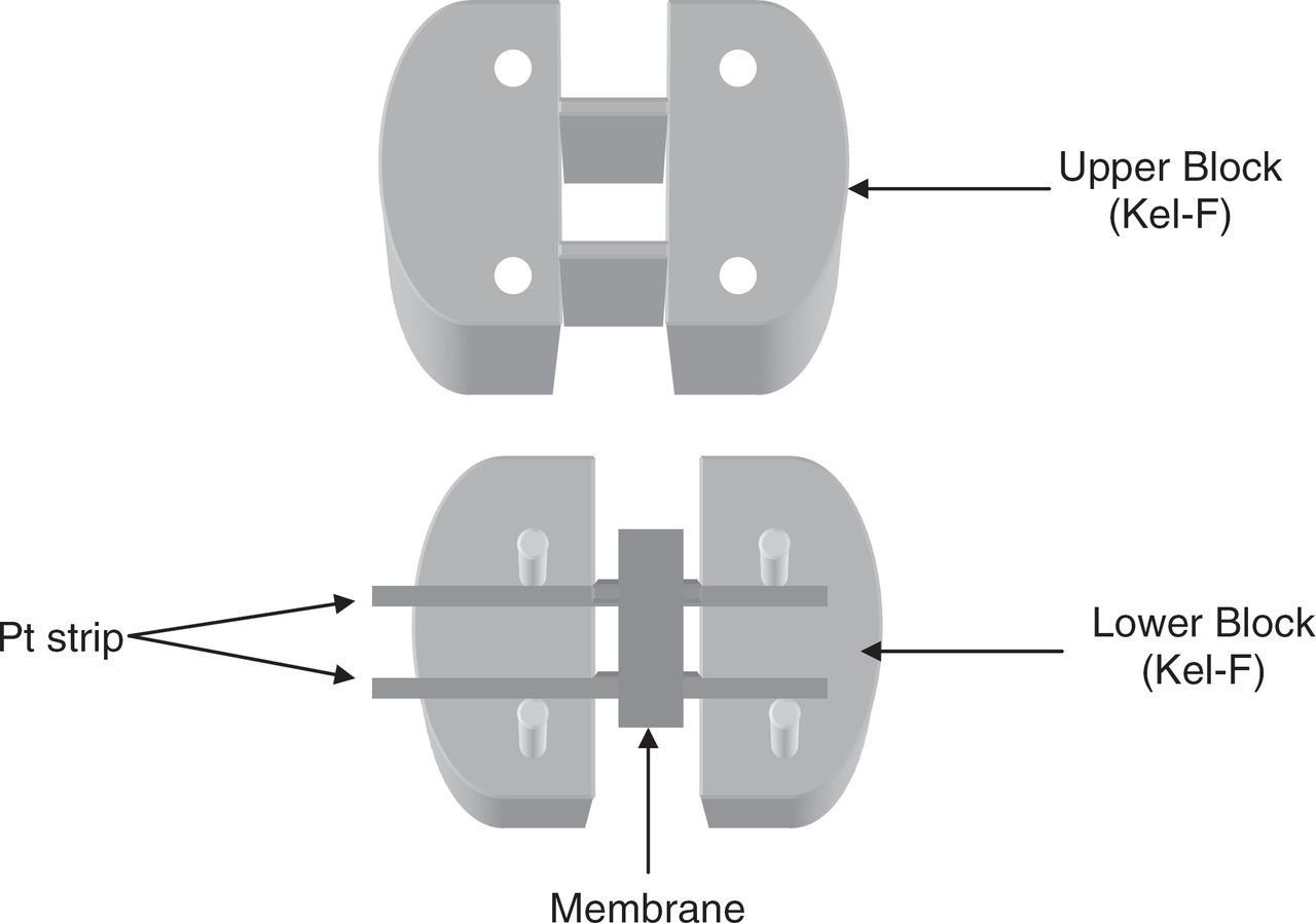 Analysis of EIS Technique and Nafion 117 Conductivity as a Function of ...