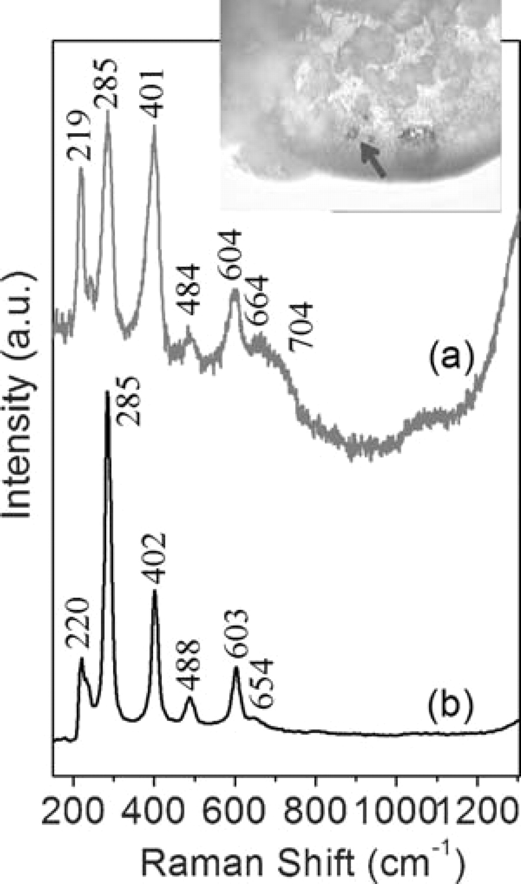 In situ Raman Spectroscopic Study of NaCl Particle-Induced Marine ...