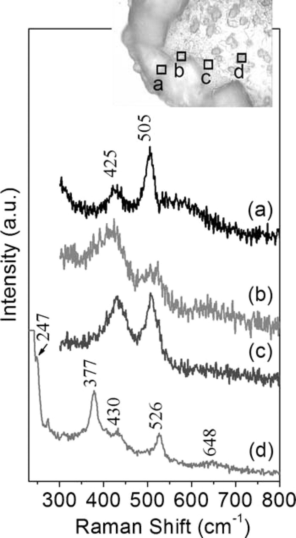 In situ Raman Spectroscopic Study of NaCl Particle-Induced Marine ...