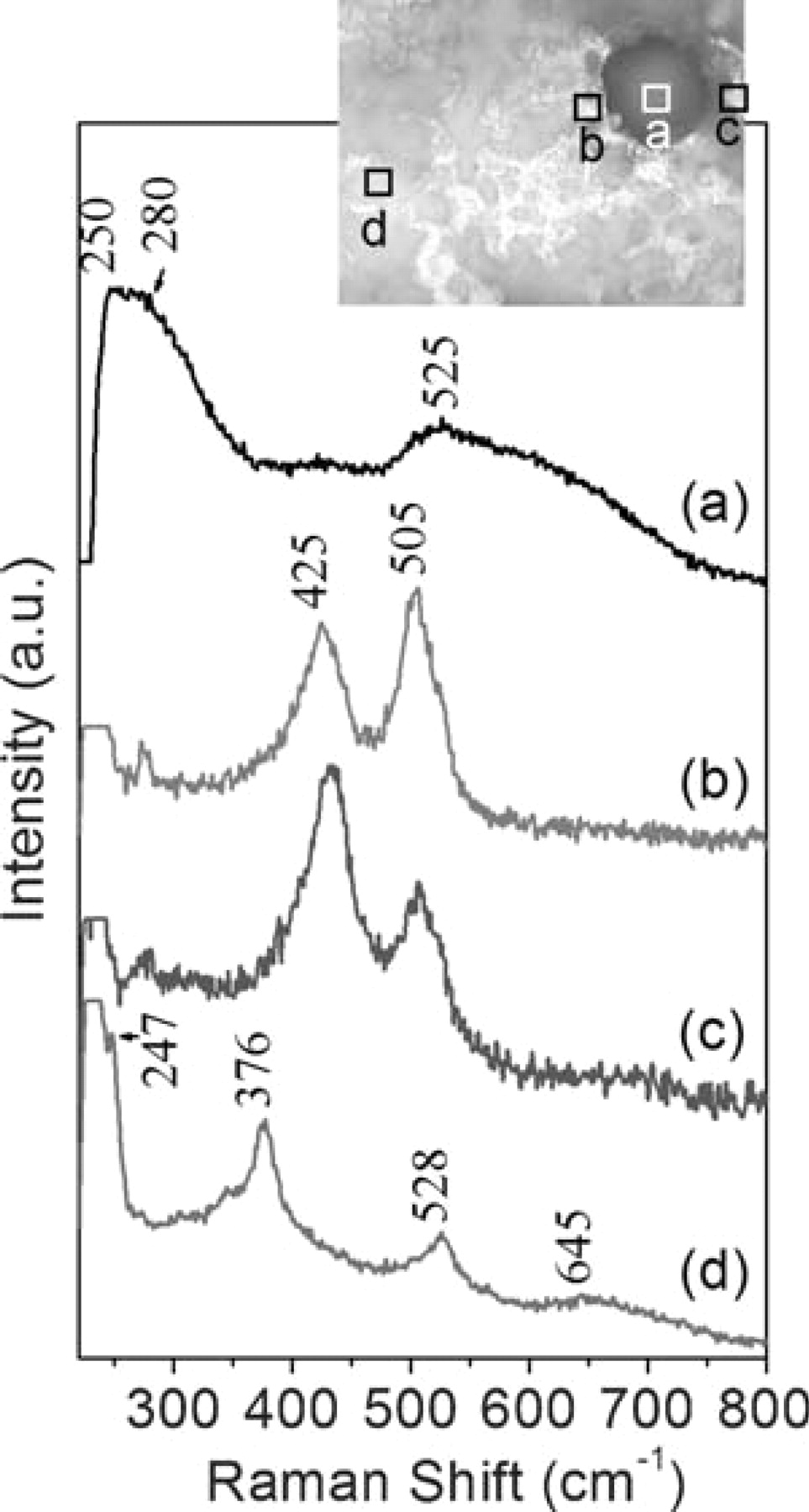 In situ Raman Spectroscopic Study of NaCl Particle-Induced Marine ...