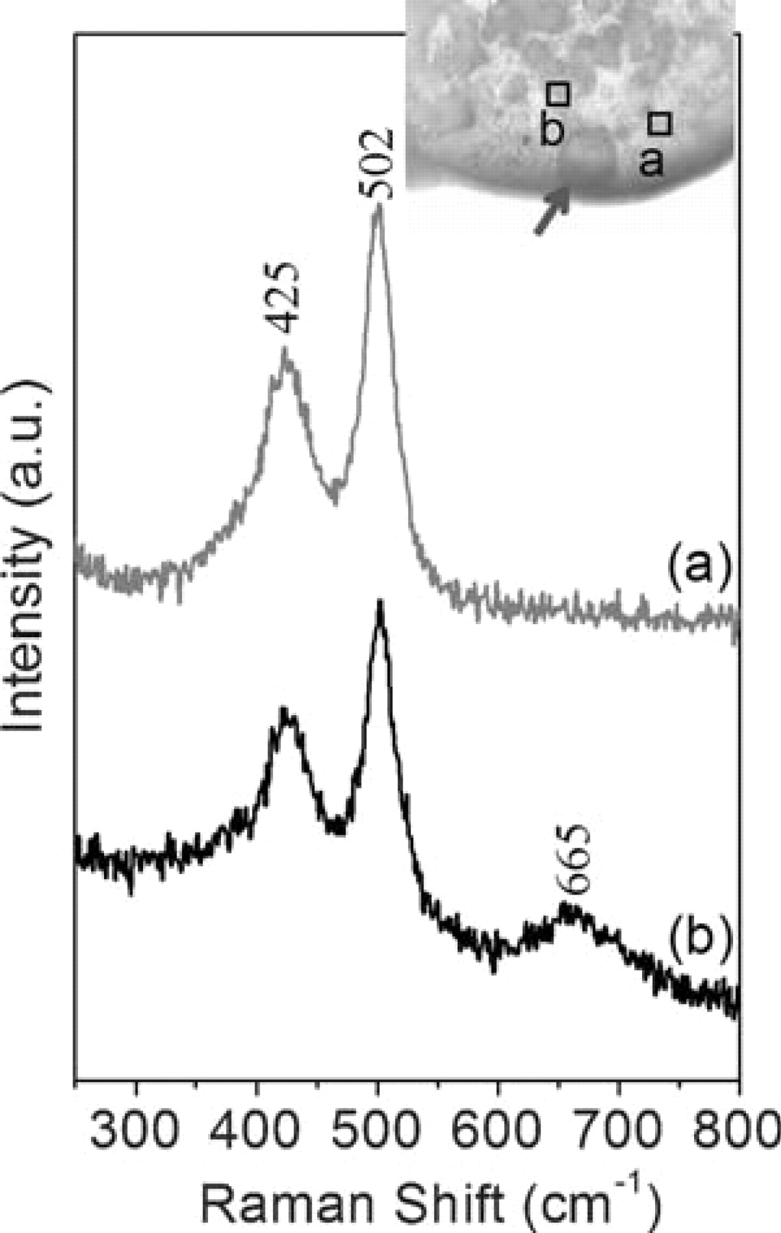 In situ Raman Spectroscopic Study of NaCl Particle-Induced Marine ...