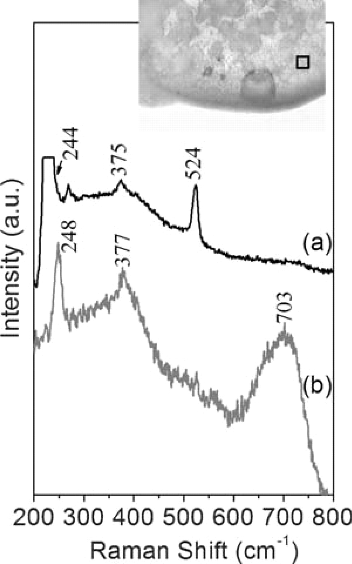 In situ Raman Spectroscopic Study of NaCl Particle-Induced Marine ...