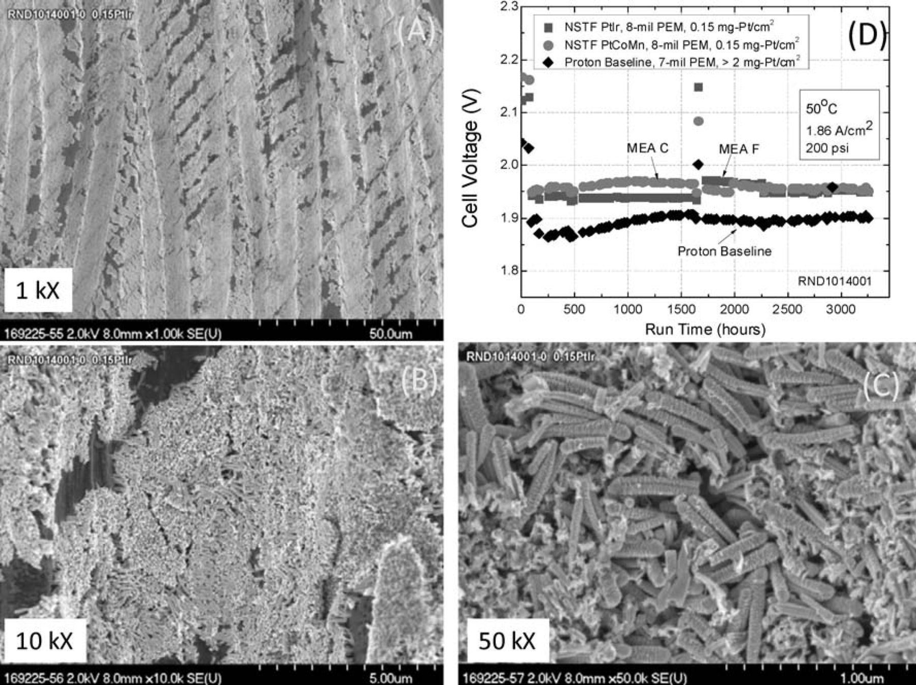 Initial Performance and Durability of Ultra-Low Loaded NSTF Electrodes ...