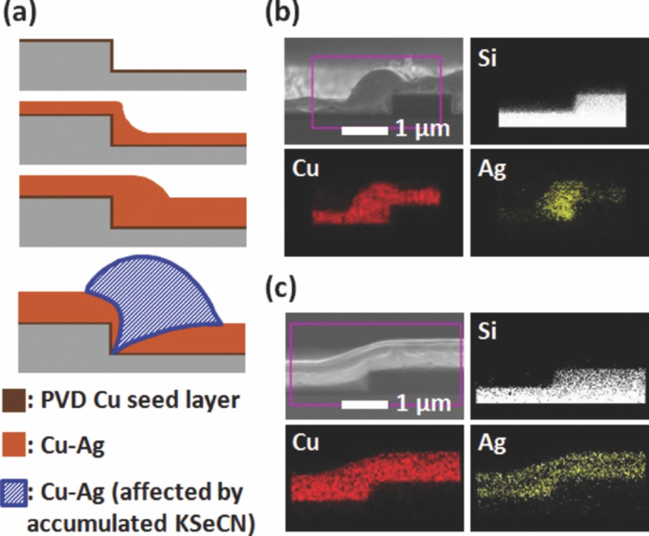 Fabrication of Cu-Ag Interconnection Using Electrodeposition: The ...