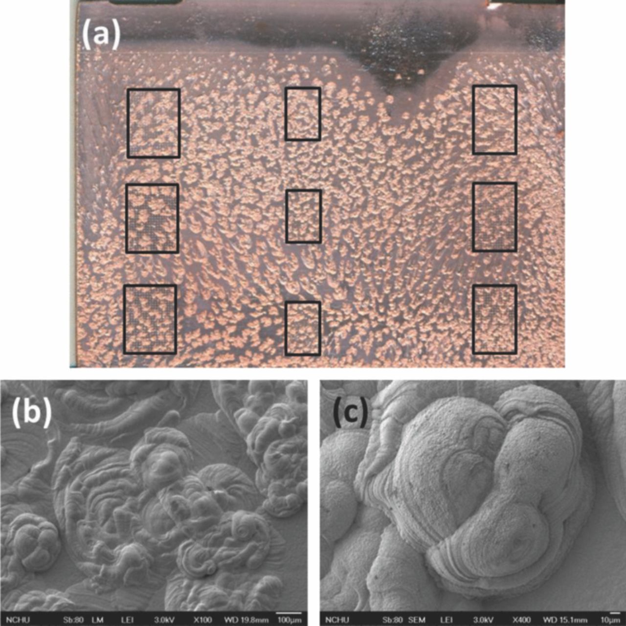 Use of 3,3-Thiobis(1-propanesulfonate) to Accelerate Microvia Filling ...