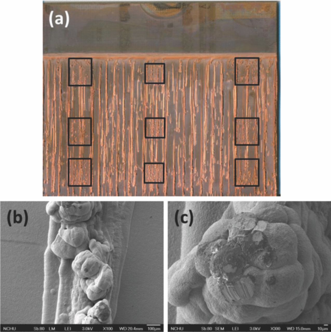 Use of 3,3-Thiobis(1-propanesulfonate) to Accelerate Microvia Filling ...