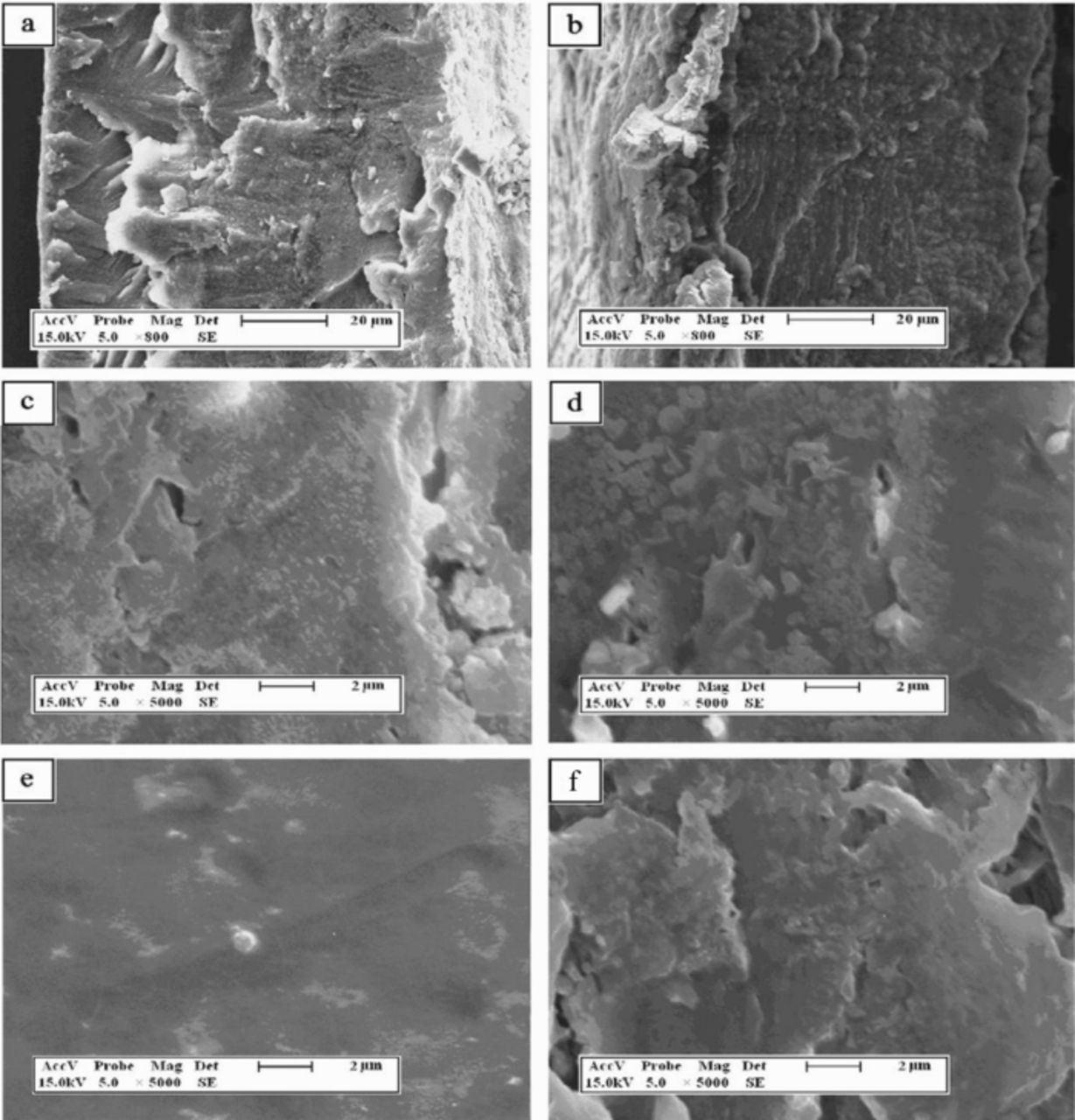 Positively Charged Polystyrene Blended Quaternized Chitosan for Anion ...