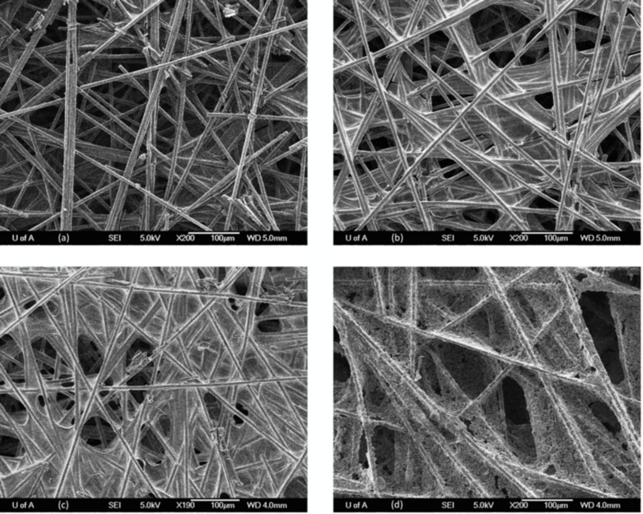 Knudsen Diffusivity and Permeability of PEMFC Microporous Coated Gas ...