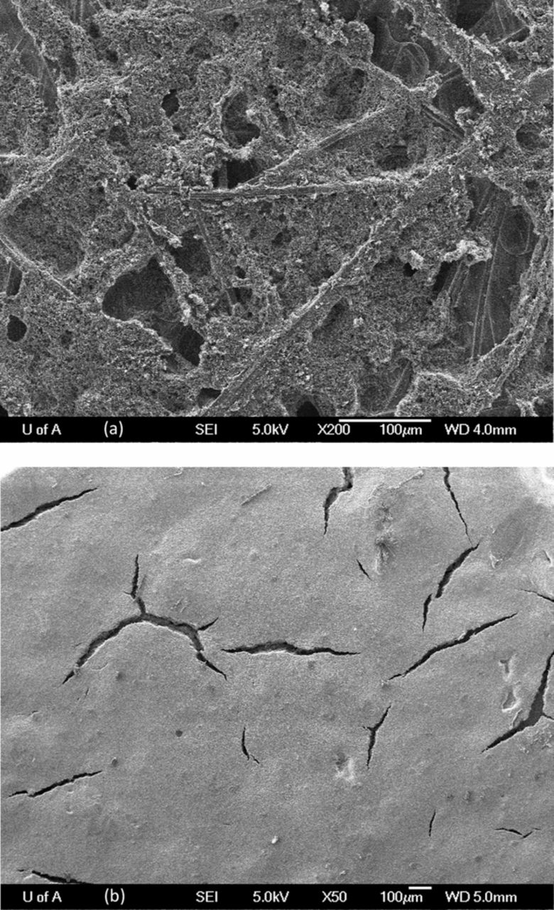 Knudsen Diffusivity and Permeability of PEMFC Microporous Coated Gas ...