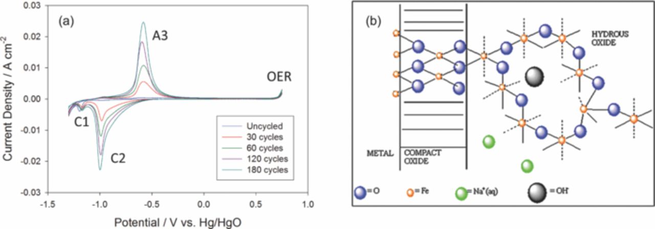 Kinetics and Mechanistic Aspects of the Oxygen Evolution Reaction at ...