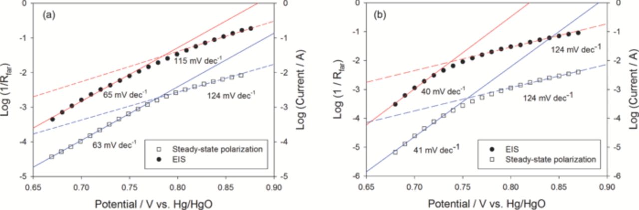 Kinetics and Mechanistic Aspects of the Oxygen Evolution Reaction at ...