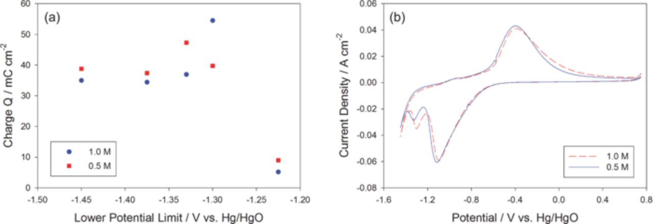 Kinetics and Mechanistic Aspects of the Oxygen Evolution Reaction at ...