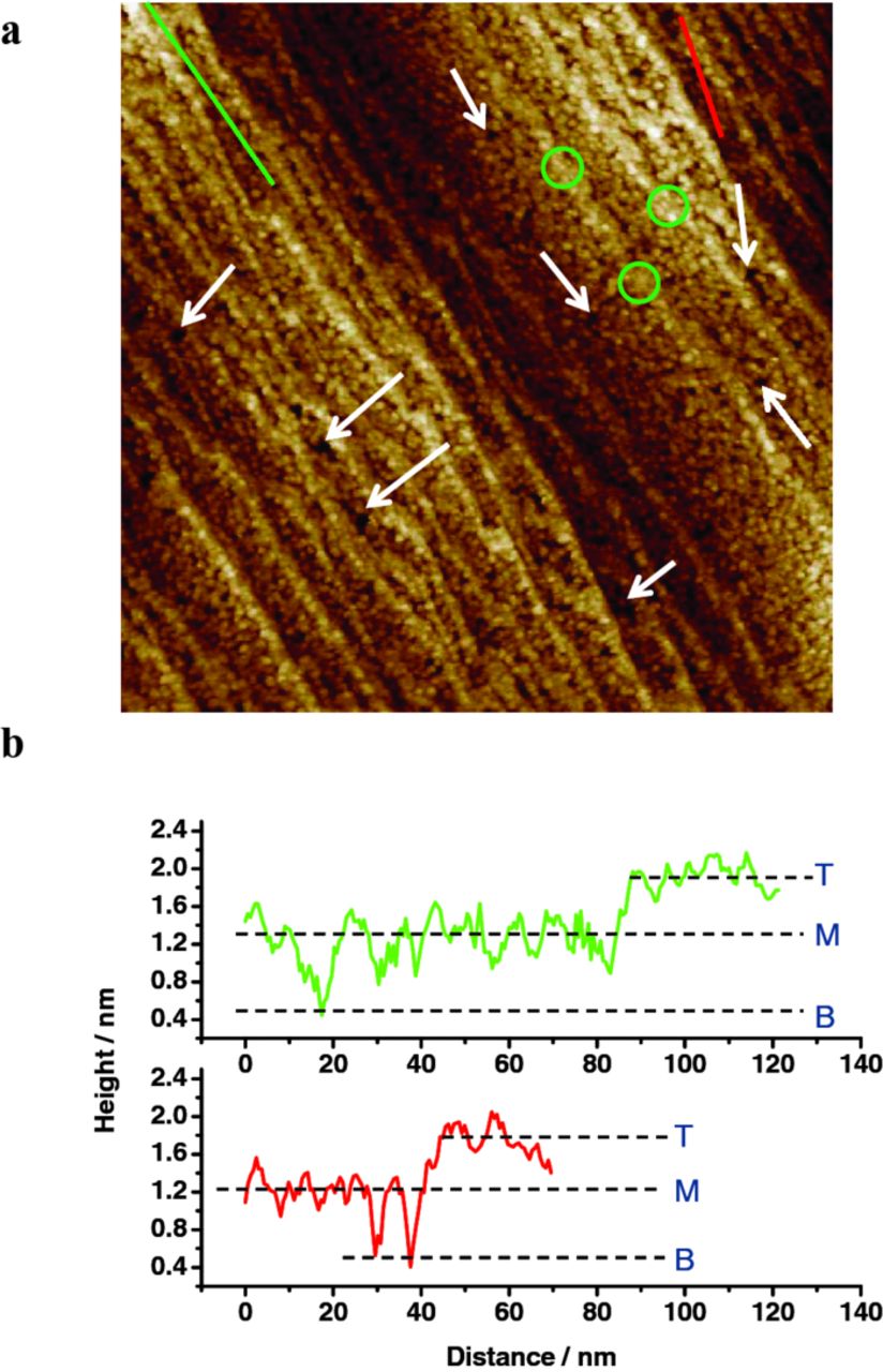 Nanoscale Morphology and Atomic Structure of Passive Films on Stainless ...