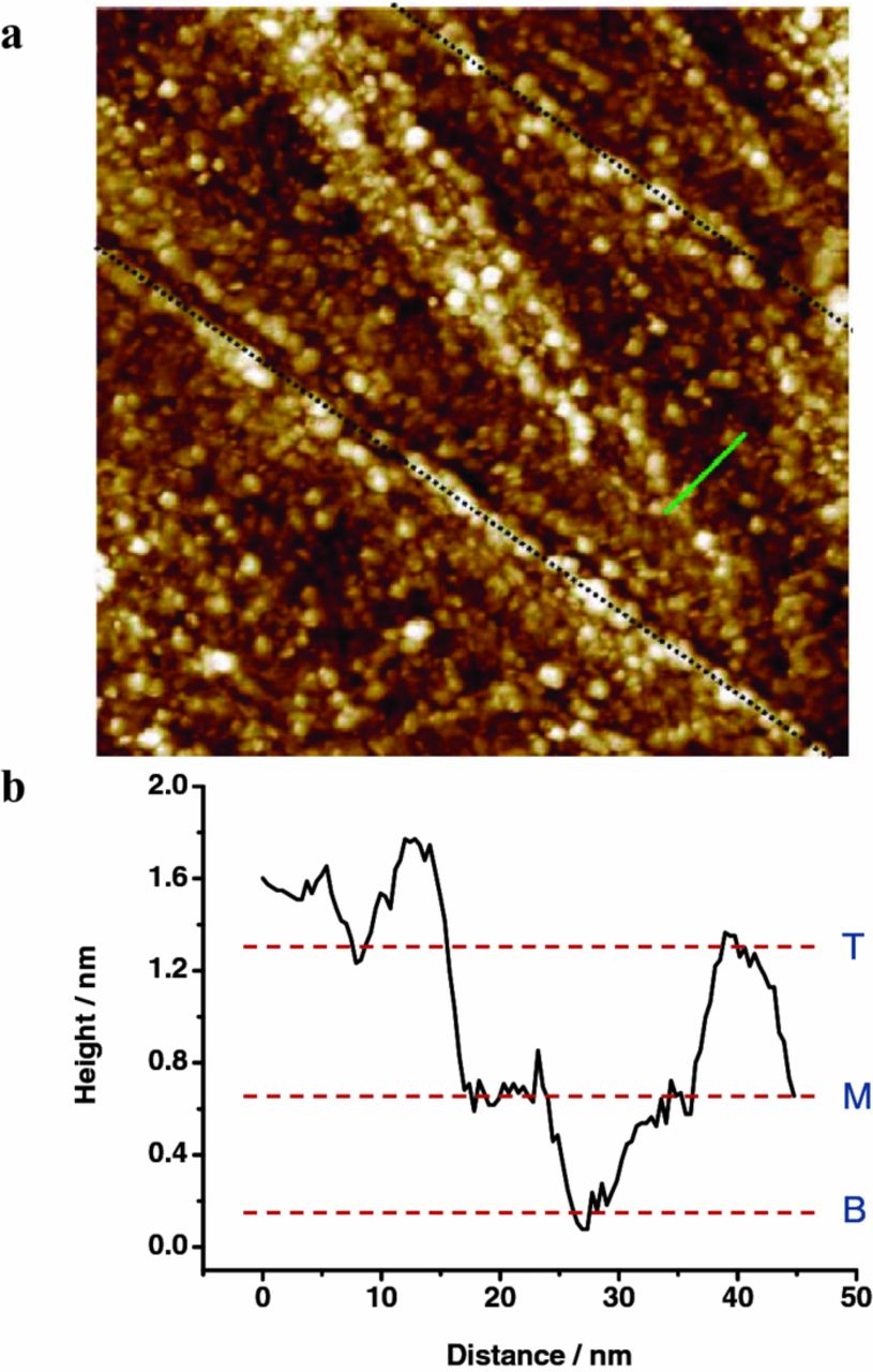 Nanoscale Morphology and Atomic Structure of Passive Films on Stainless ...