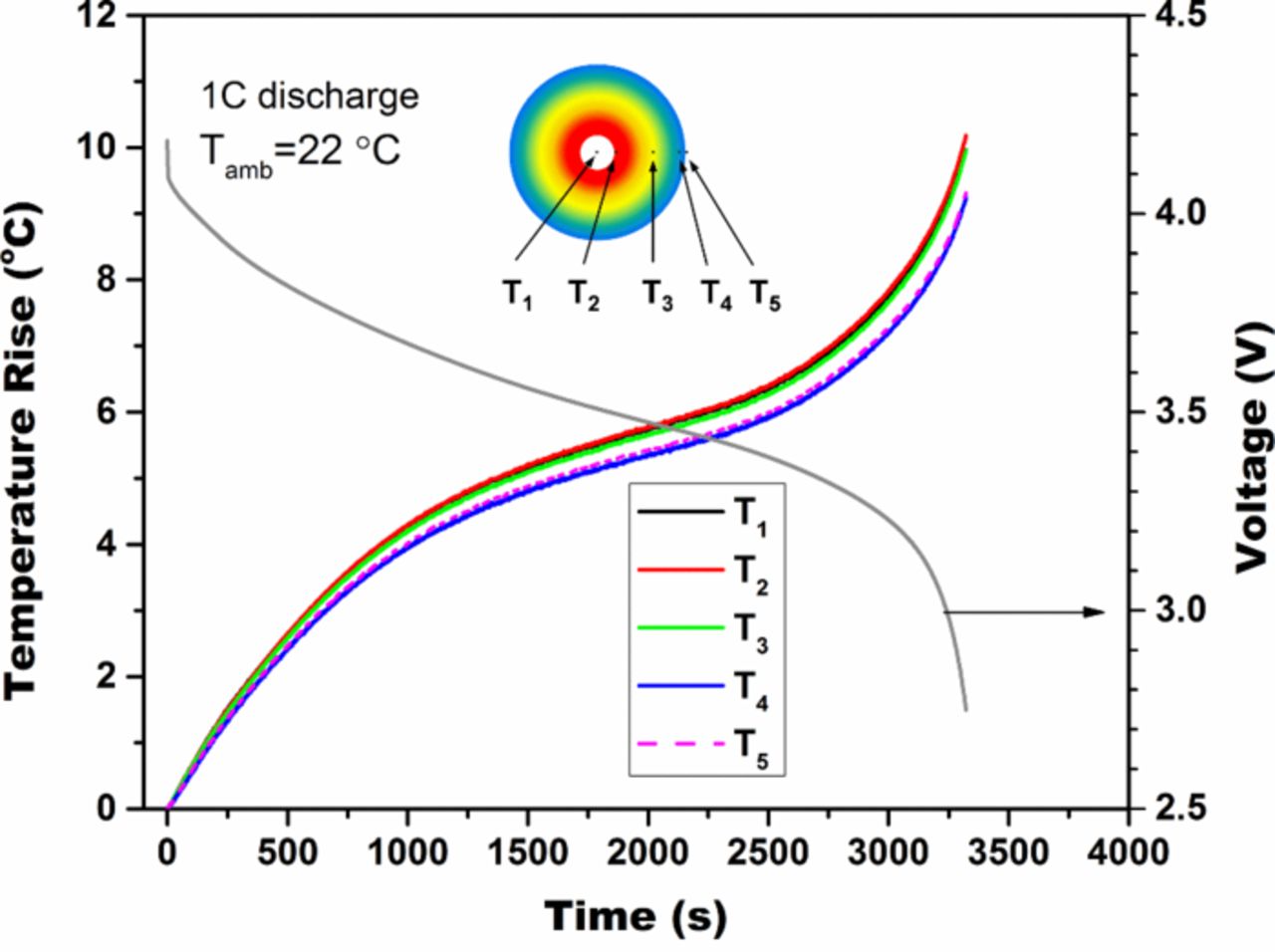 In Situ Measurement of Radial Temperature Distributions in Cylindrical ...