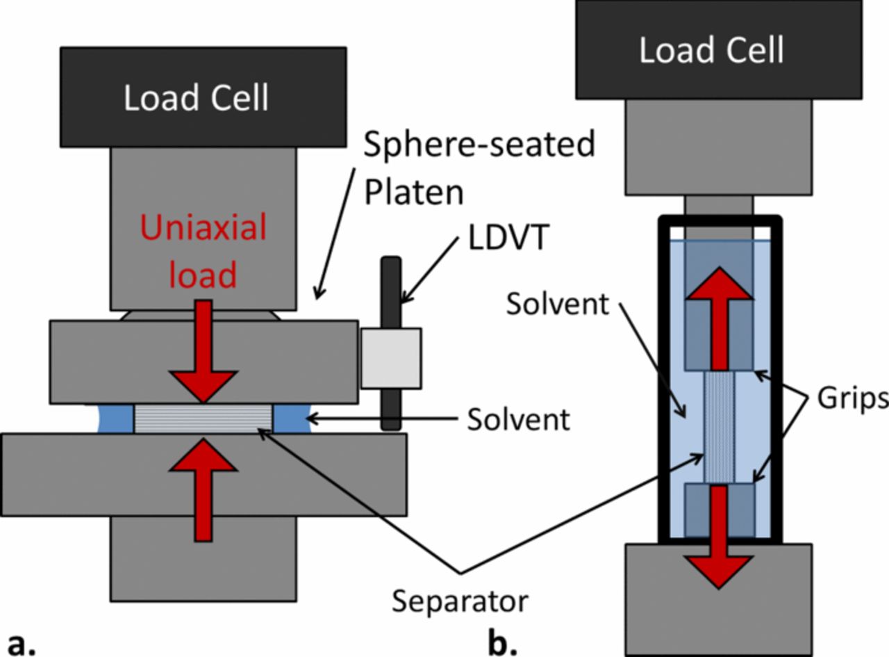 Mechanical Properties of a Battery Separator under Compression and ...