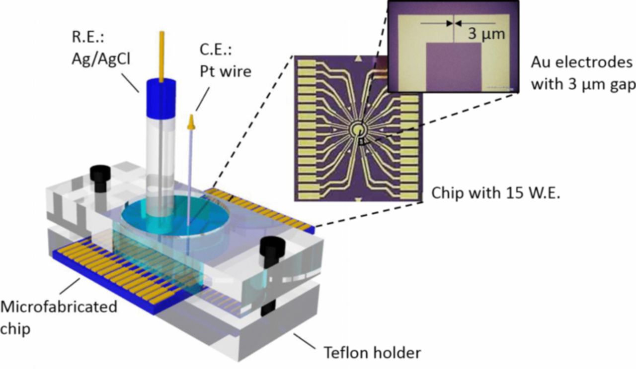 Tin Dioxide Functionalized Single-Walled Carbon Nanotube (SnO2/SWNT)-Based Ammonia Gas Sensors ...