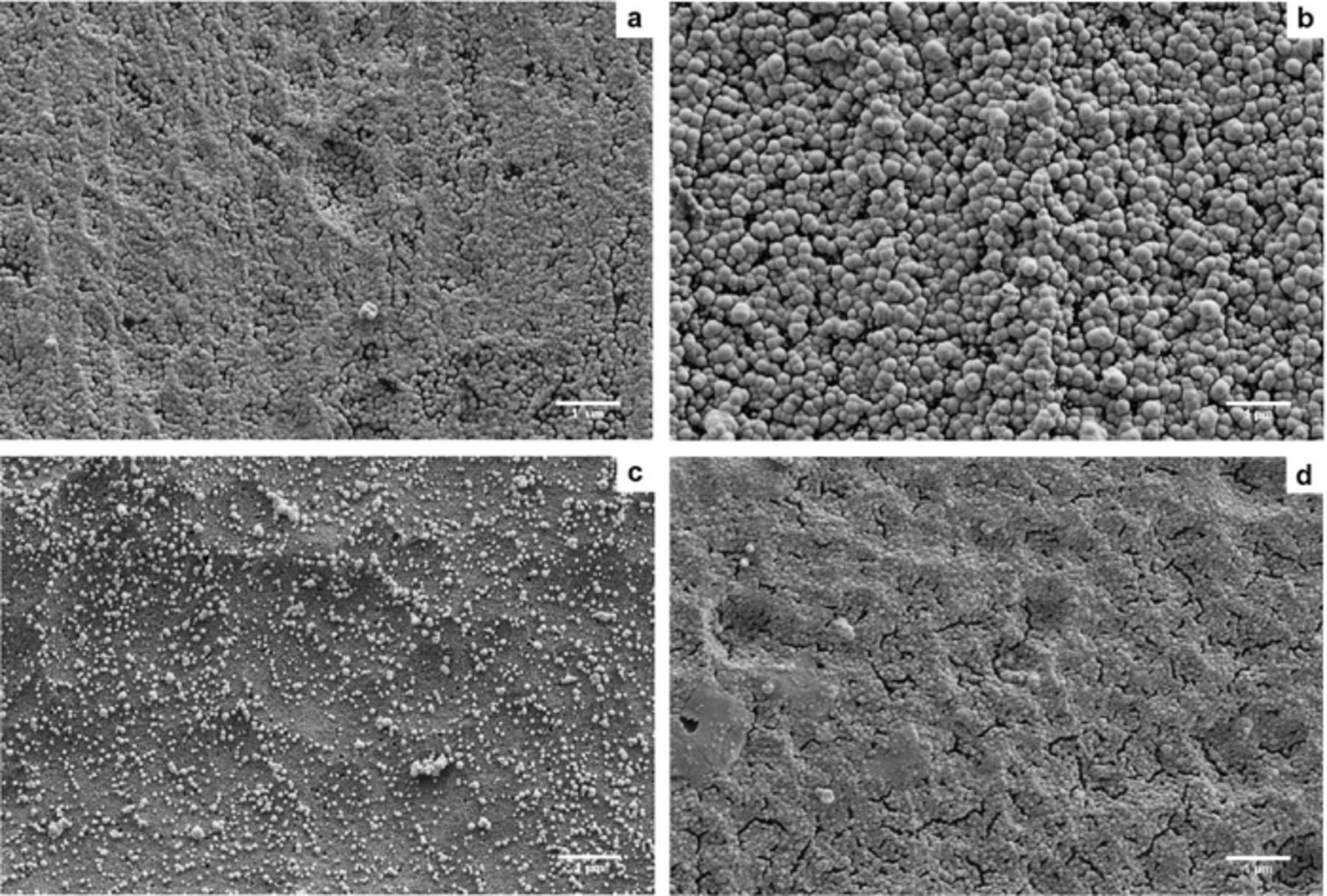 Development of Cerium-Rich Layers on Anodic Films Formed on Pure ...